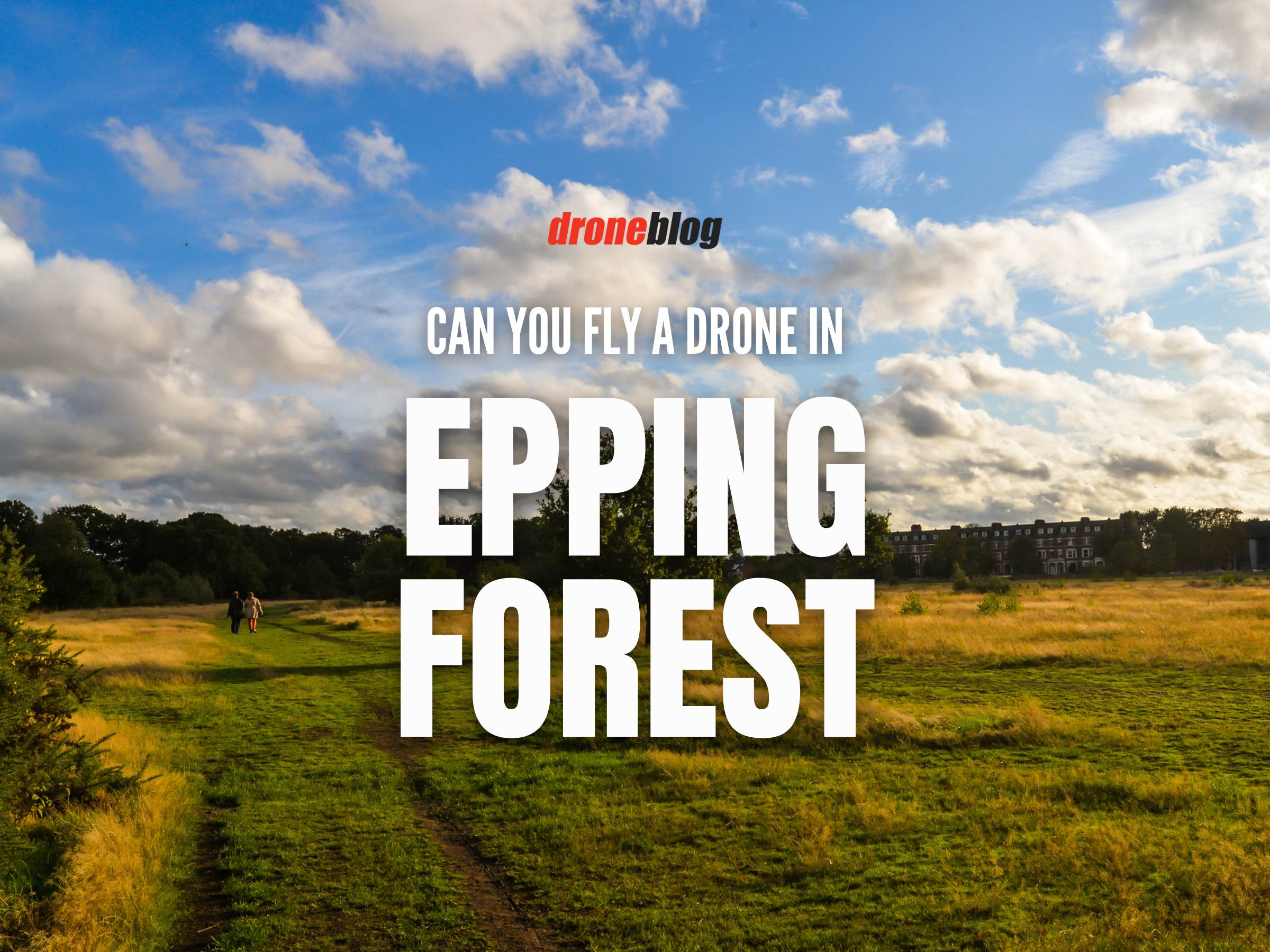 Can You Fly a Drone in Epping Forest? - Droneblog