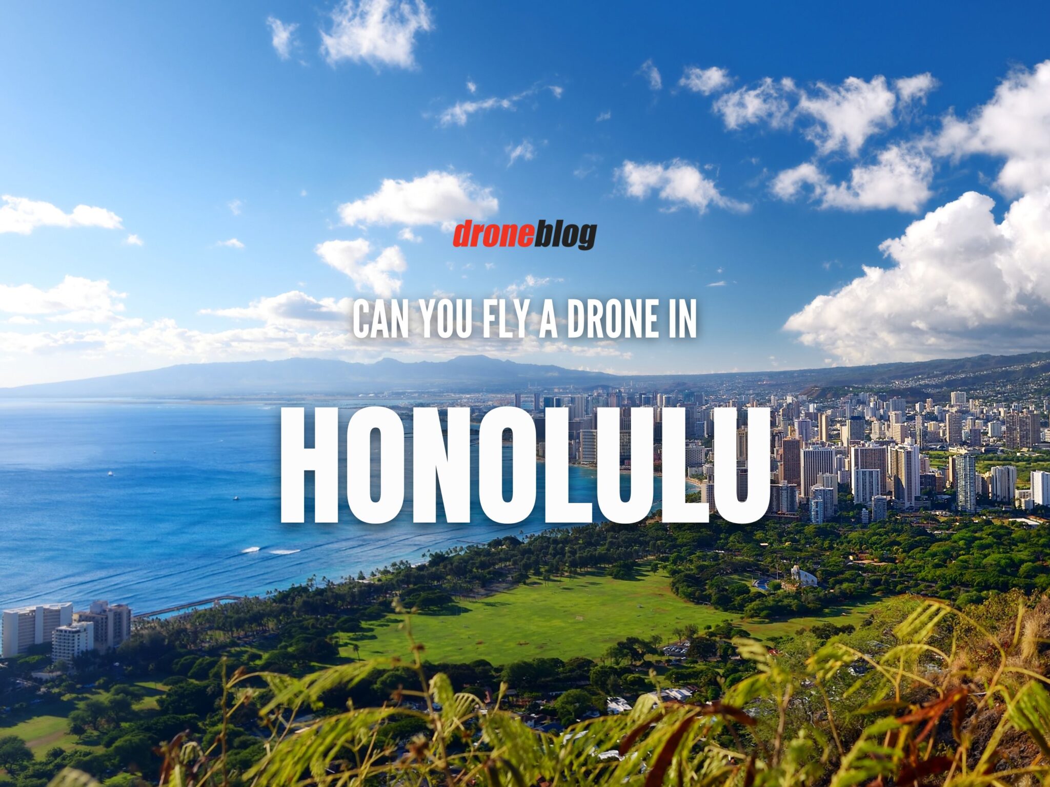 Can You Fly A Drone In Honolulu Droneblog