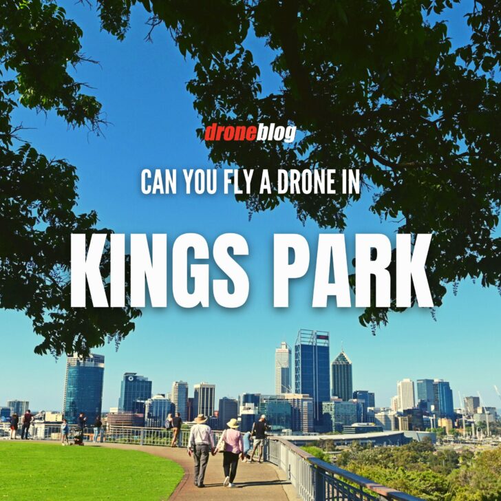 Can You Fly a Drone in Kings Park? – Droneblog