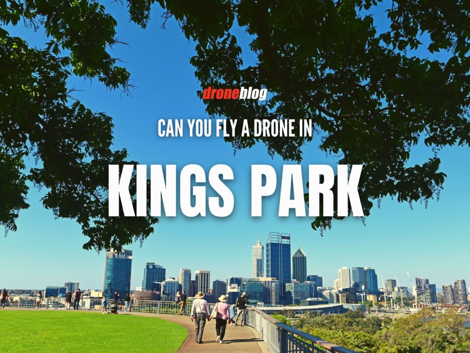 Can You Fly a Drone in Kings Park? - Droneblog