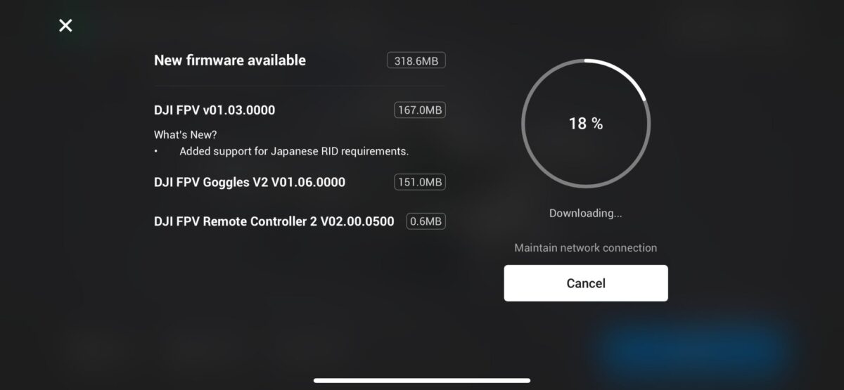 How to Connect DJI FPV to Phone (Step-by-Step Guide) - Droneblog