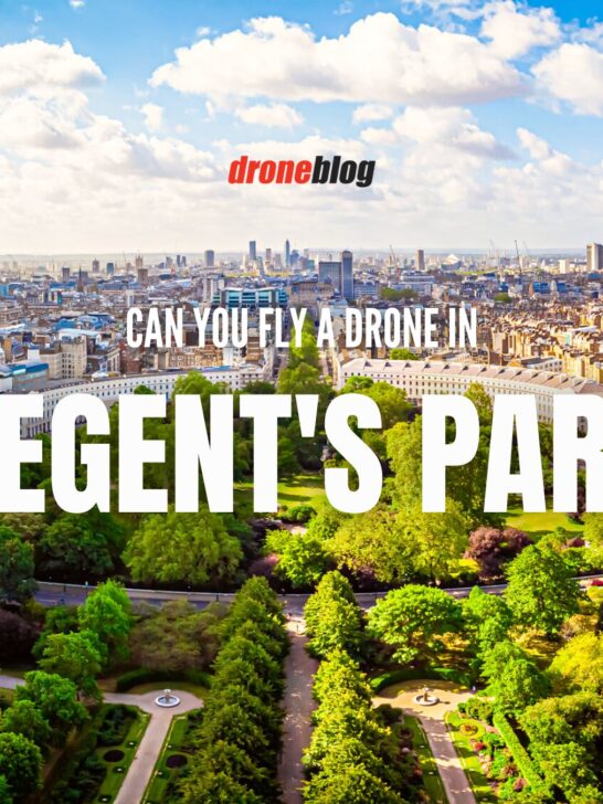 Can You Fly a Drone in Richmond Park? – Droneblog