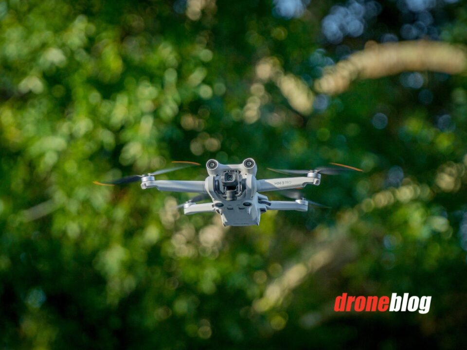 DJI Mini 2 SE vs. Mini 3 vs. Mini 3 Pro (Here's My Choice) - Droneblog